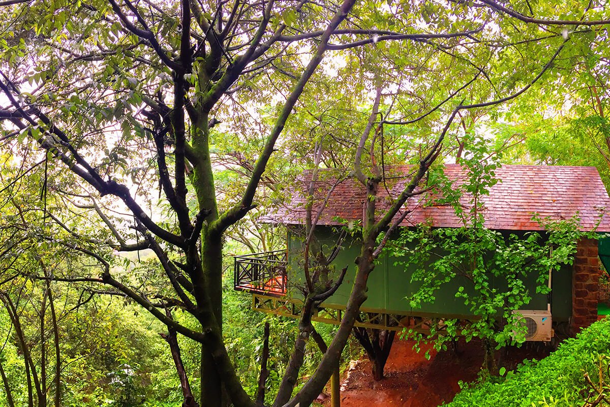 Tree Top Nest – Anandvan Resort